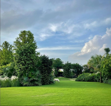 Inside MS Dhoni Farmhouse: A Glimpse into Kailashpati & Photos