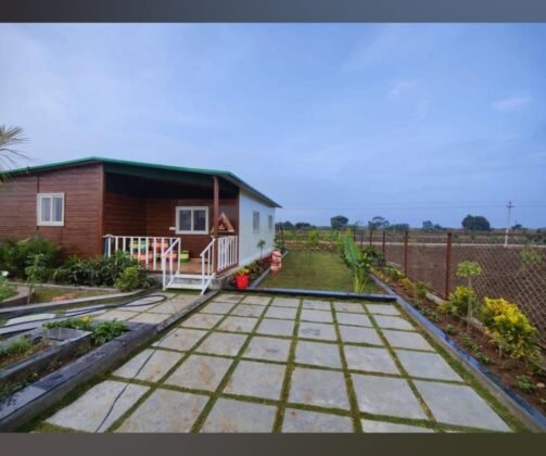 How to Find Land Survey Number Using Google Maps 2025